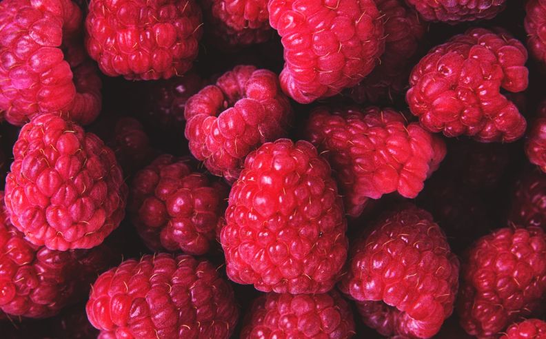 Découvrez les Bienfaits et Vertus de la Framboise